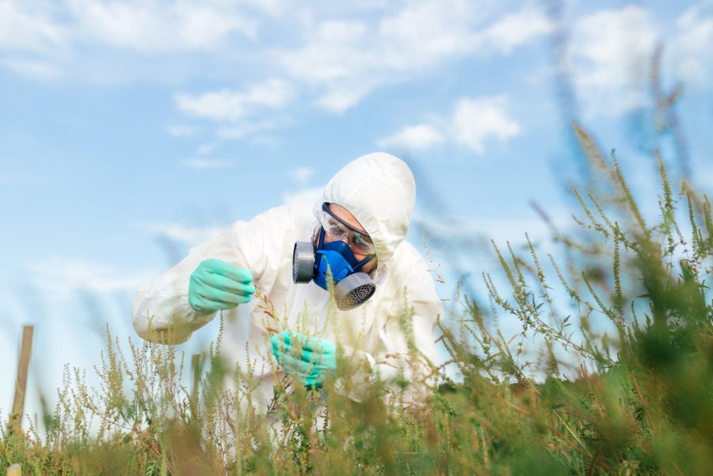 Pest Control Denver, CO | Exterminator | Pest Removal Services